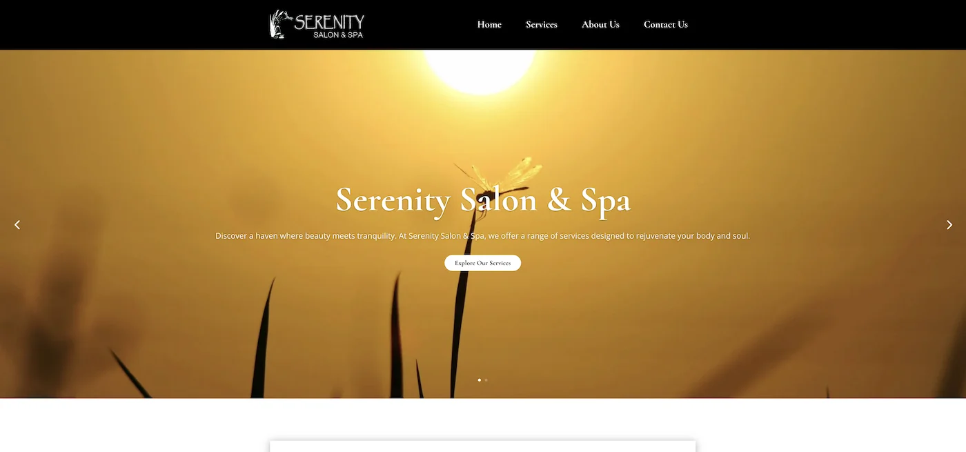 A FDGweb Case Study: Serenity Salon and Spa - Seattle & Everett Washington | FDG Web